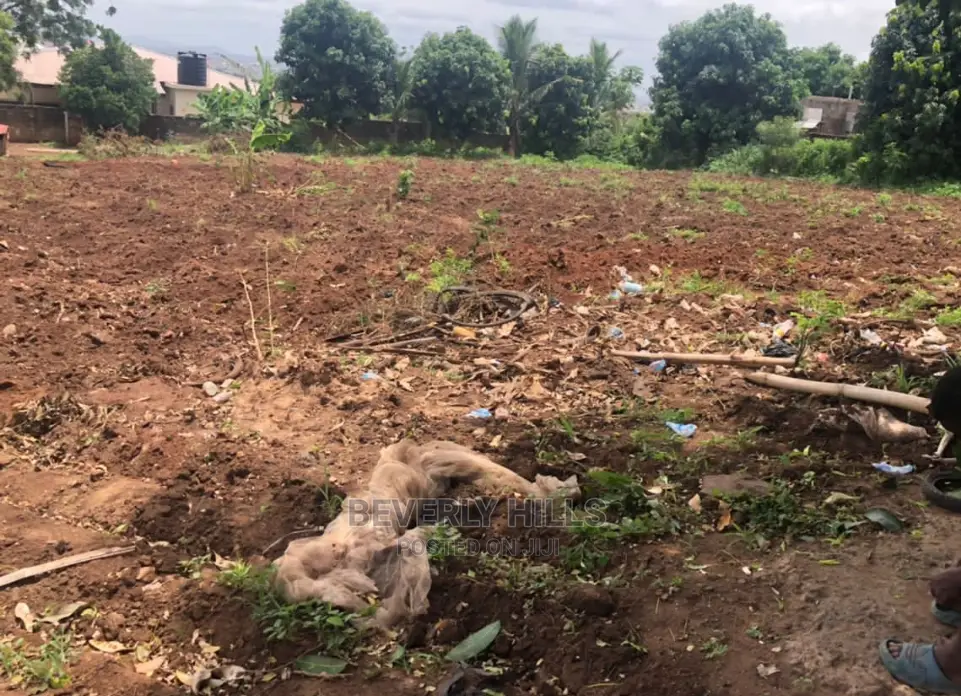 Ofankor Barrier in Accra Metropolitan - Land & Plots for Sale, Beverly ...