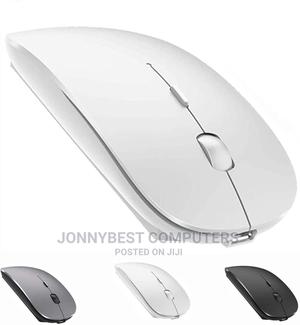 Mice in Ghana for sale Prices on Jiji.com.gh