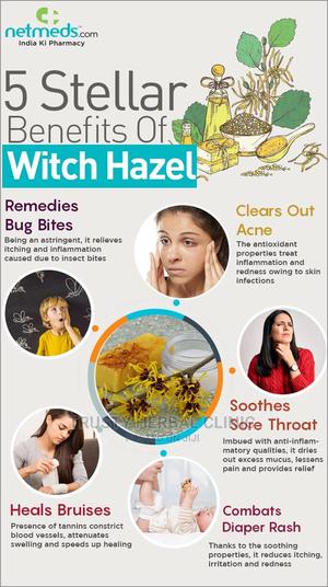 Witch Hazel Bark (Treatment for Hemorrhoids,Piles,Kooko,Acne in Accra ...