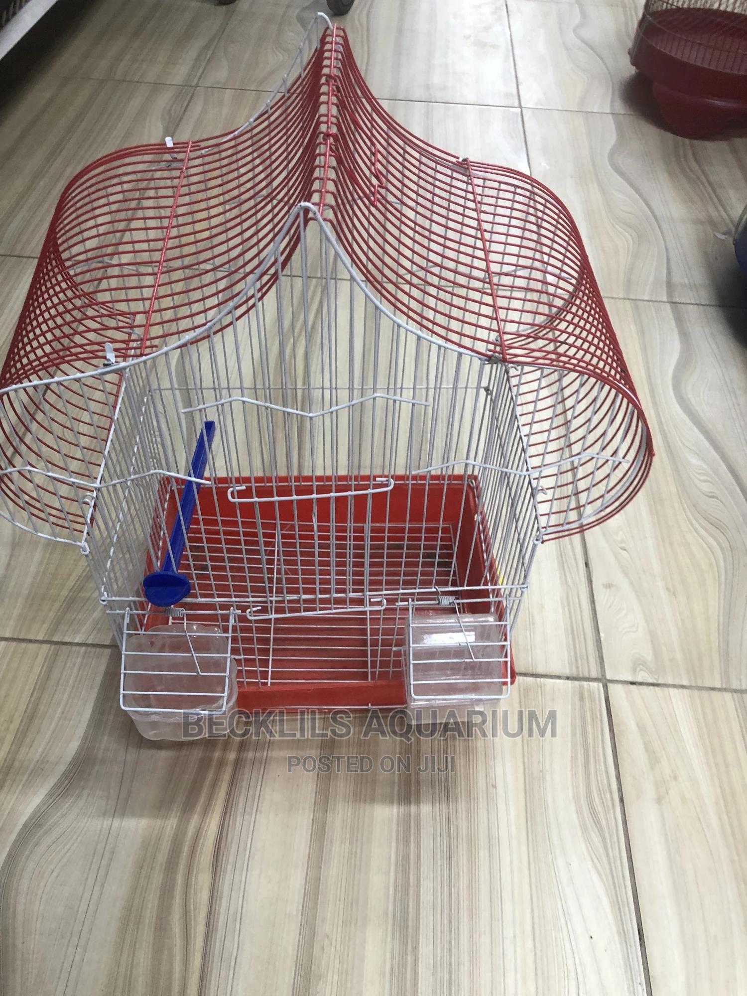 Mini Bird Cages for Small Birds in East Legon - Pet Accessories, Becca ...