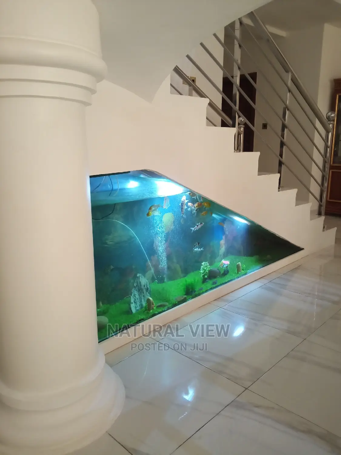 Aquarium Under Stairs in Accra Metropolitan - Fish, Natural View ...