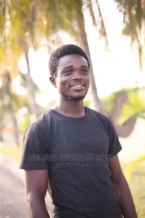 Customer Services CVs in Ghana Search for employee on Jiji.com.gh Find ...