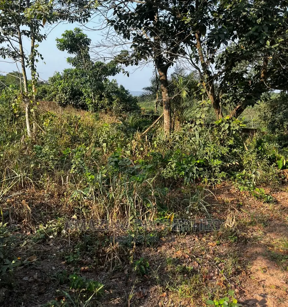 14 Acres of Land at Aburi in Aburi - Land & Plots for Sale, Amazing ...