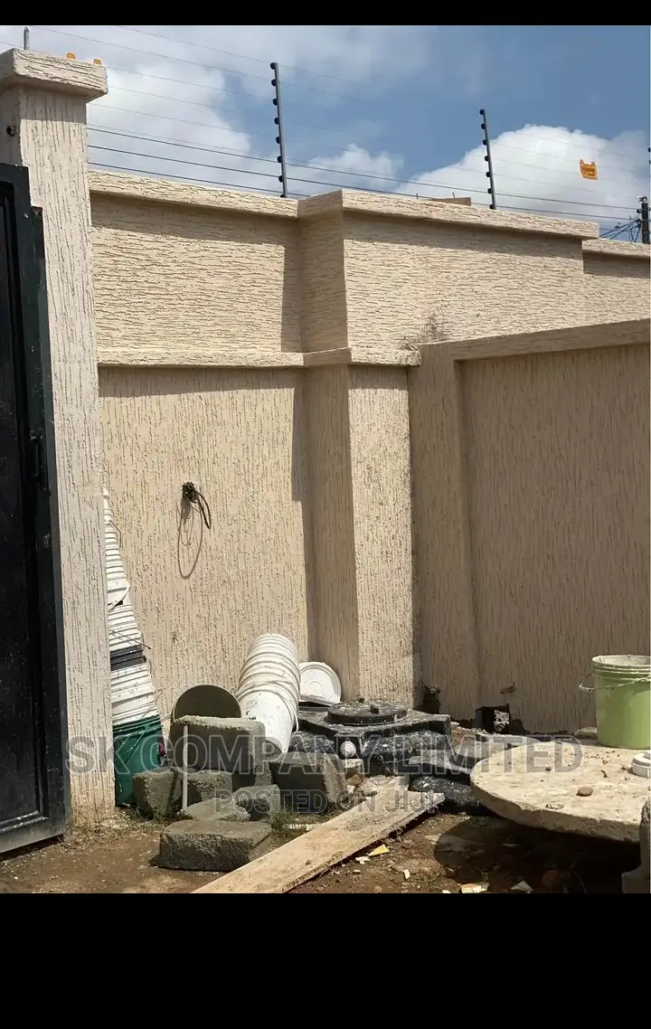 Grafiato Materials and Painting in Takoradi - Building & Trade Services ...