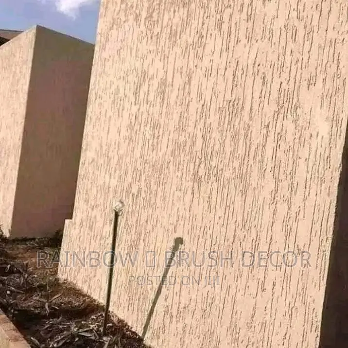 20 L Waterproof Graffiato Paint and Painting in Nii Boi Town - Building ...