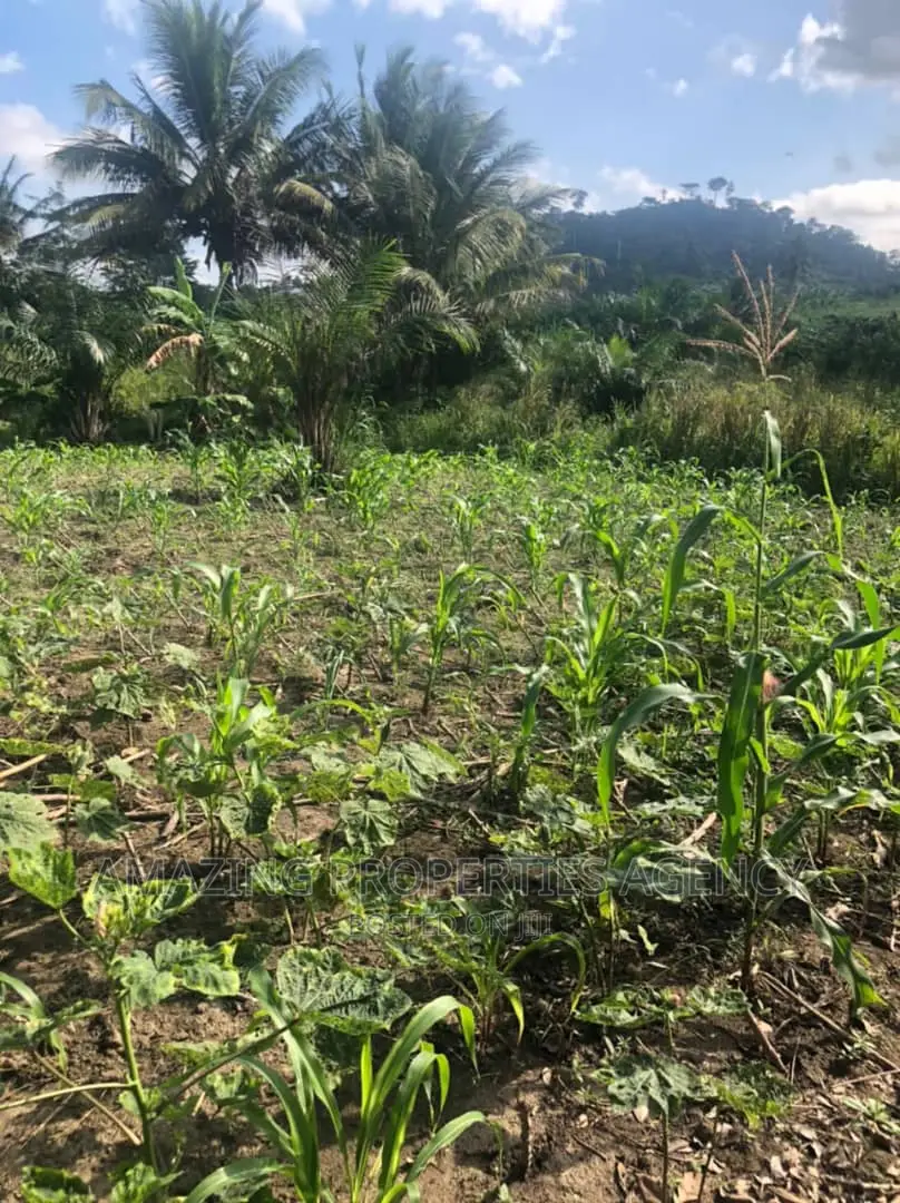 1000 Acres of Land at Bajwiase Awutu in East Legon - Land & Plots for ...